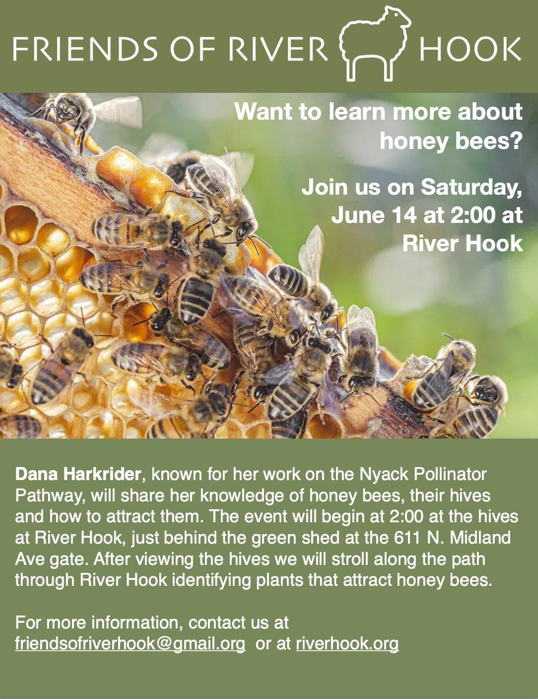 Come learn about Honey Bees at River Hook – Friends of River Hook, Inc.